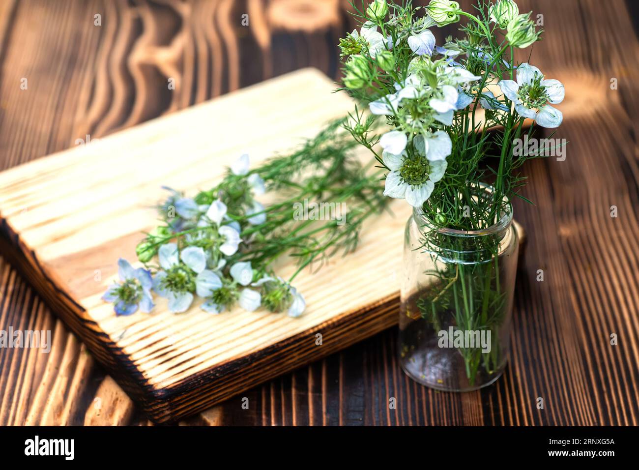 Nigella arvensis, devil-in-a-bush, love-in-a-mist in wooden mortar next ...