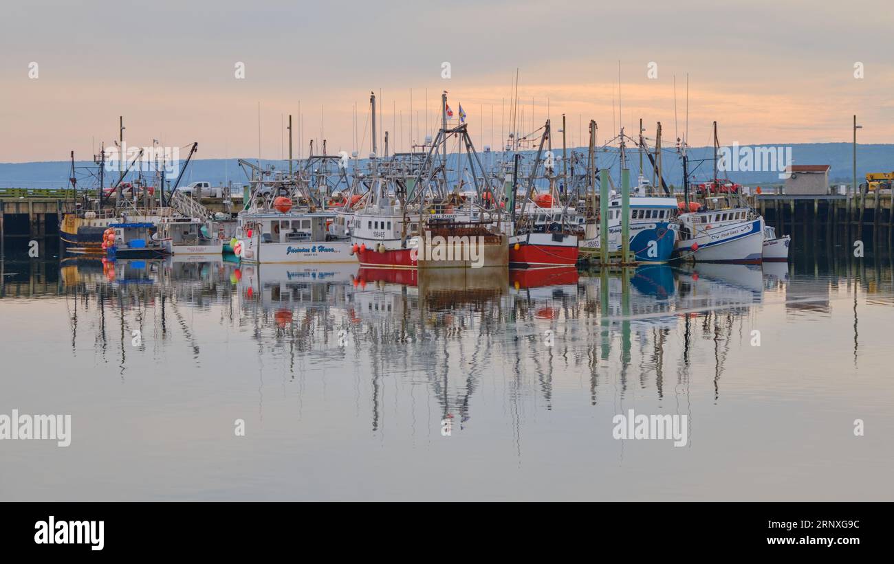 large group of fishing boats along the wharf in Digby harbour Stock ...