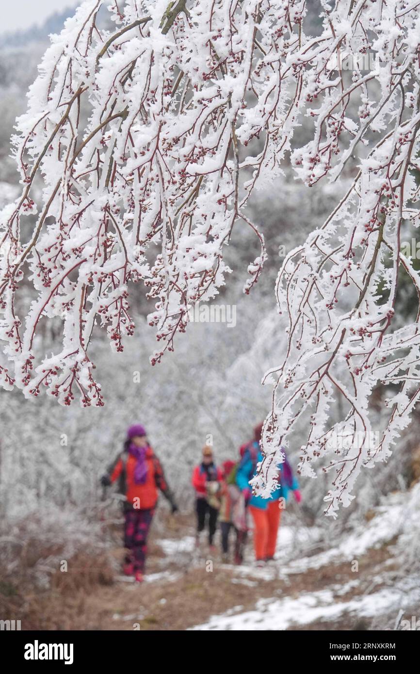 (180203) -- GUIYANG, Feb. 3, 2018 -- Tourists enjoy frost scenery at ...