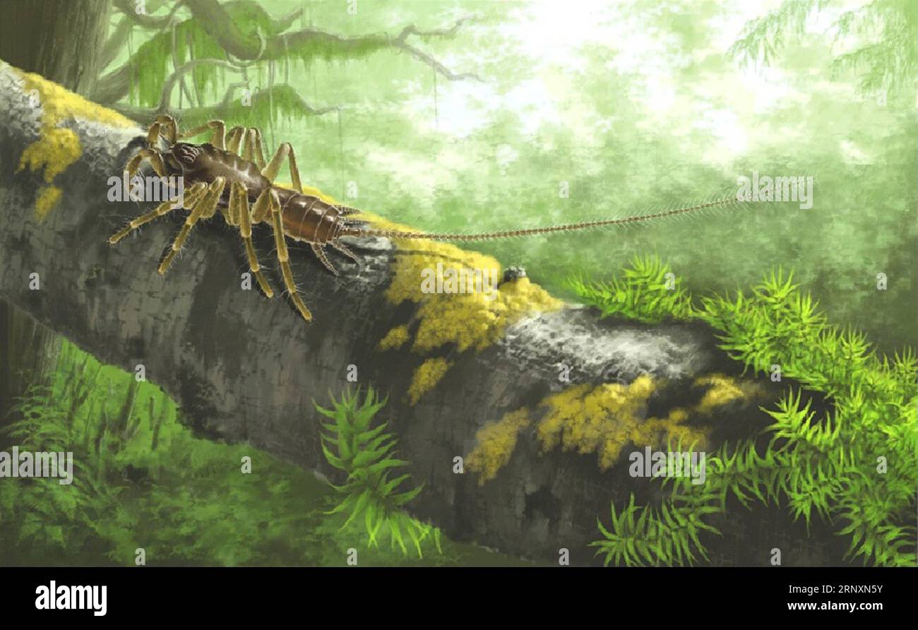 100 million years old hi-res stock photography and images - Alamy