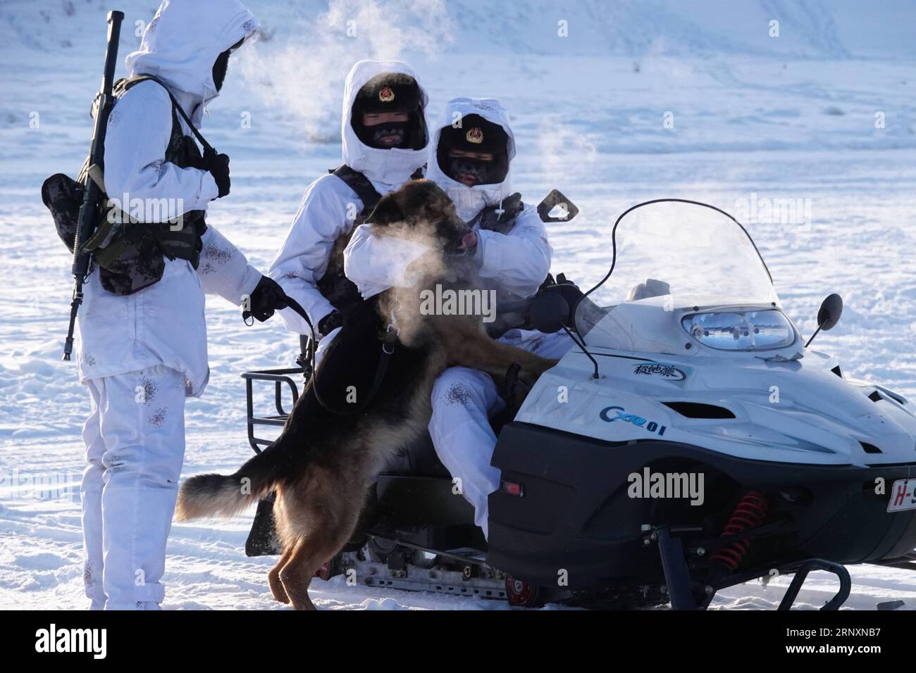 Minus 40 degrees celsius hi-res stock photography and images - Alamy