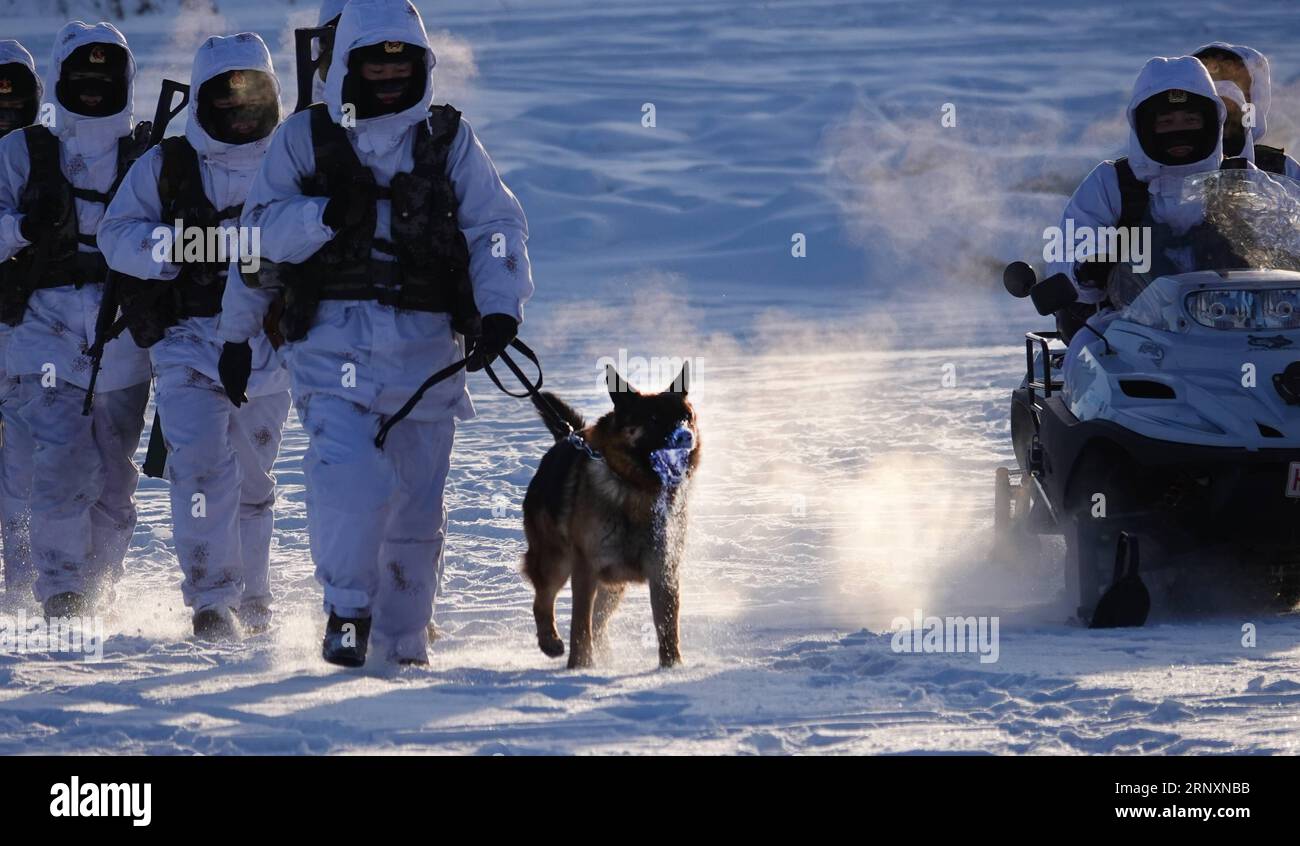 Minus 40 degrees celsius hi-res stock photography and images - Alamy