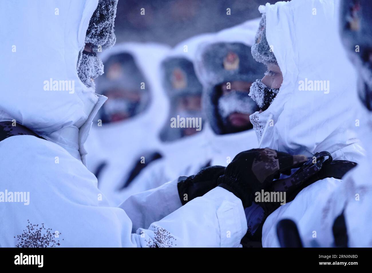 Minus 40 degrees celsius hi-res stock photography and images - Alamy