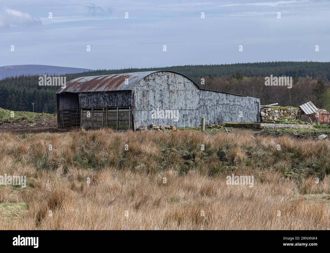 Typical scottish scenery hi-res stock photography and images - Alamy