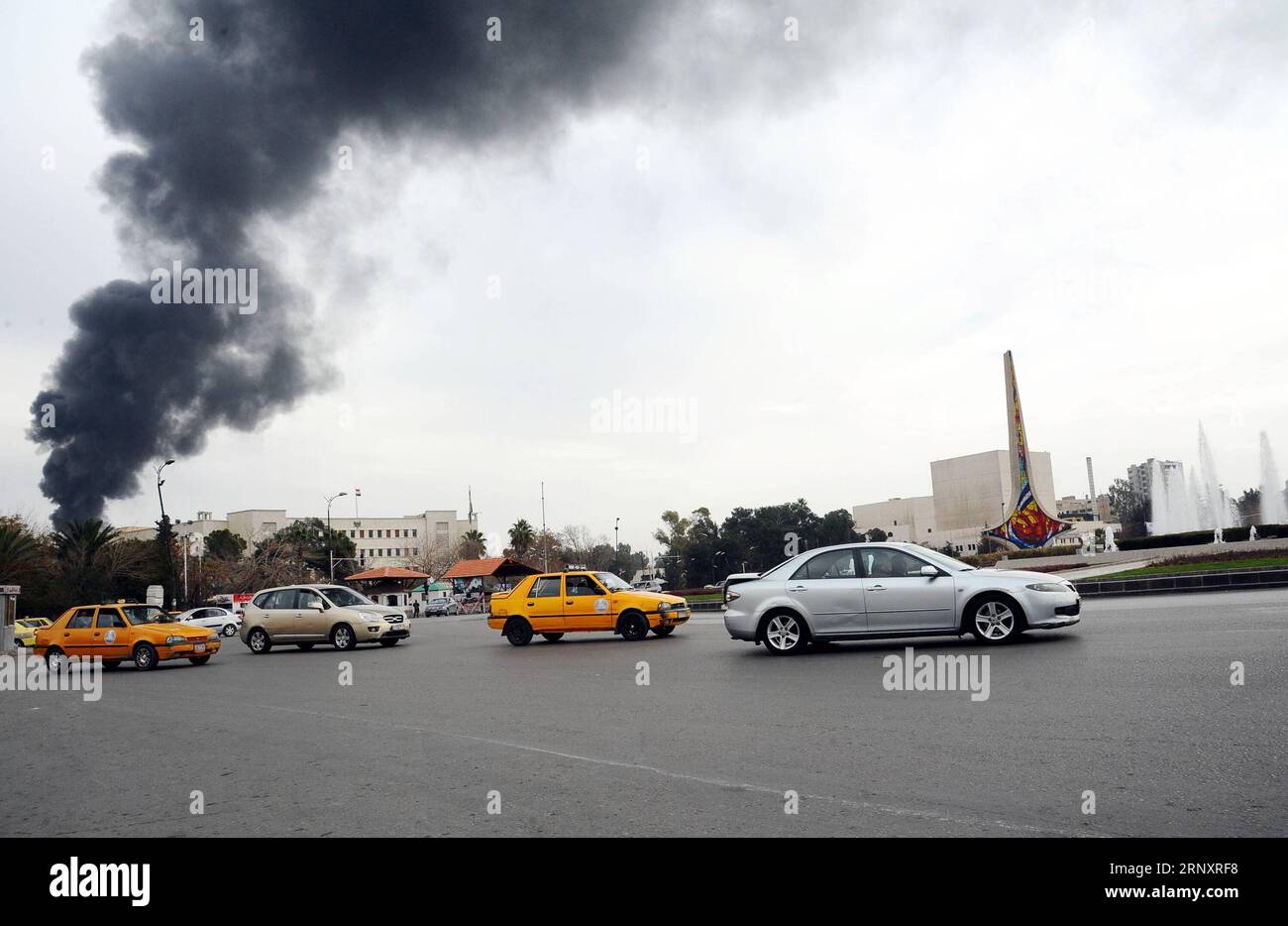 Shell dama hi-res stock photography and images - Alamy