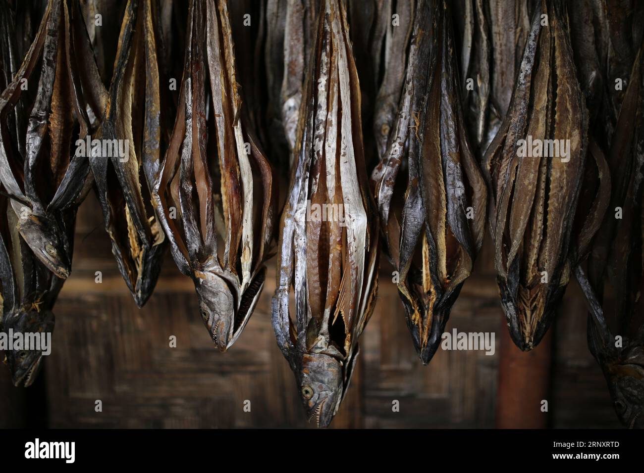 Sea fishes dry under the Sun in Bangladesh Stock Photo - Alamy