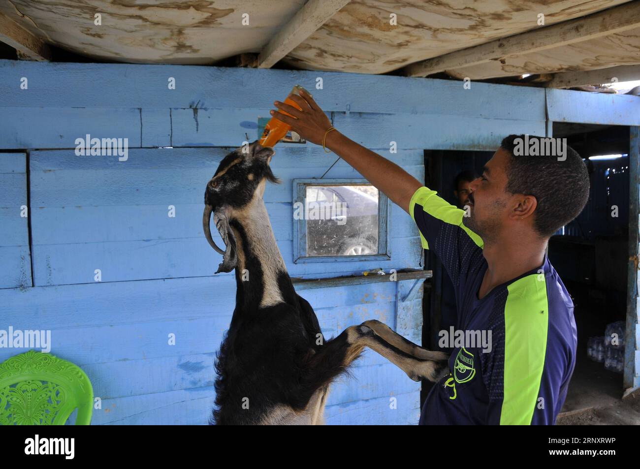 (180211) -- SUAKIN(SUDAN), Feb. 11, 2018 -- Photo taken on Feb. 9, 2018 ...