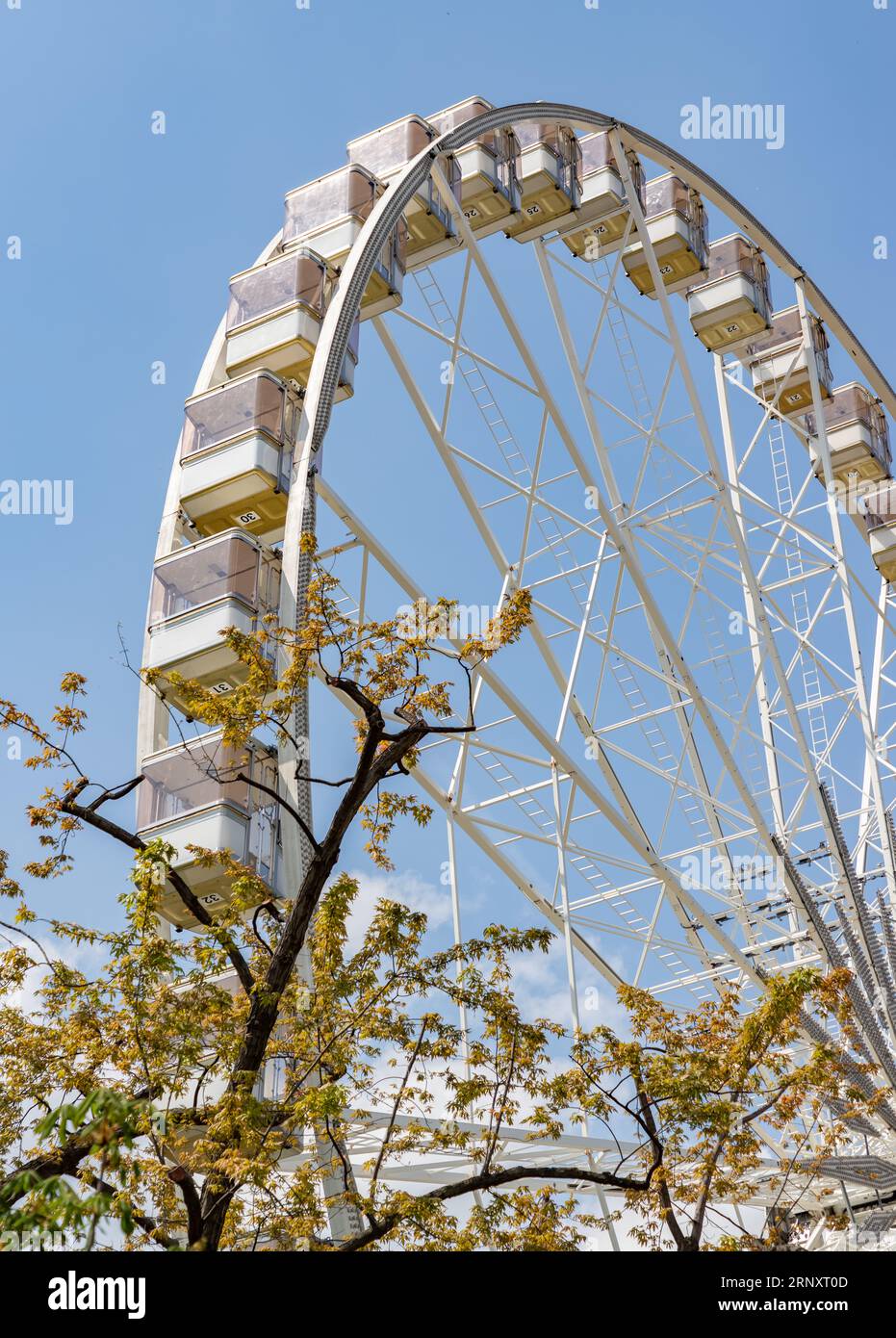 A picture of the Ferris Wheel of Budapest Stock Photo - Alamy