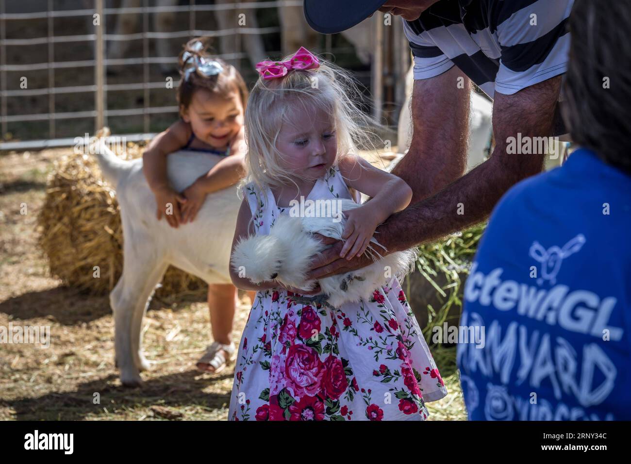 Touch animals hi-res stock photography and images - Alamy