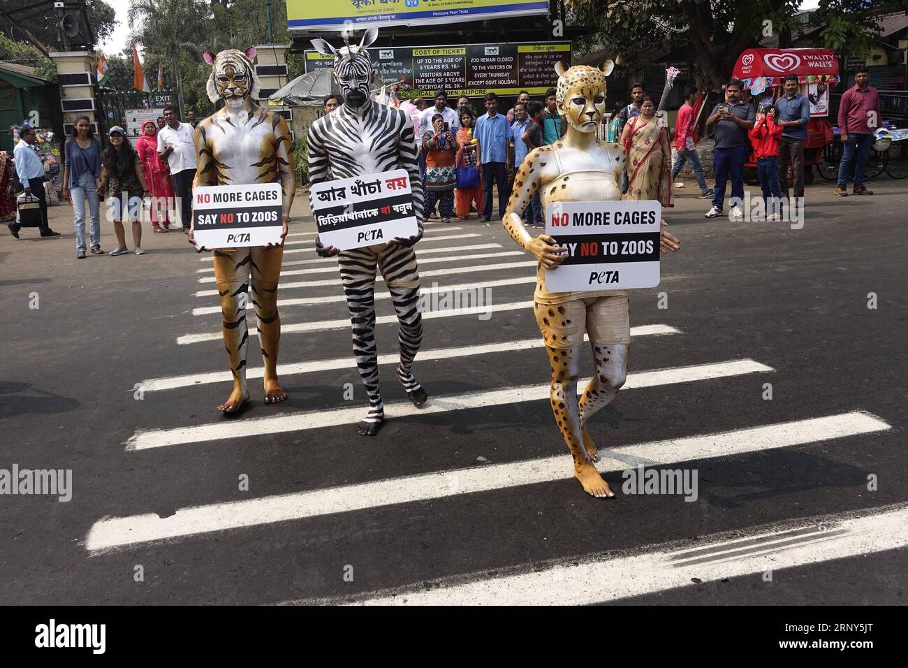 Tiger cages hi-res stock photography and images - Alamy
