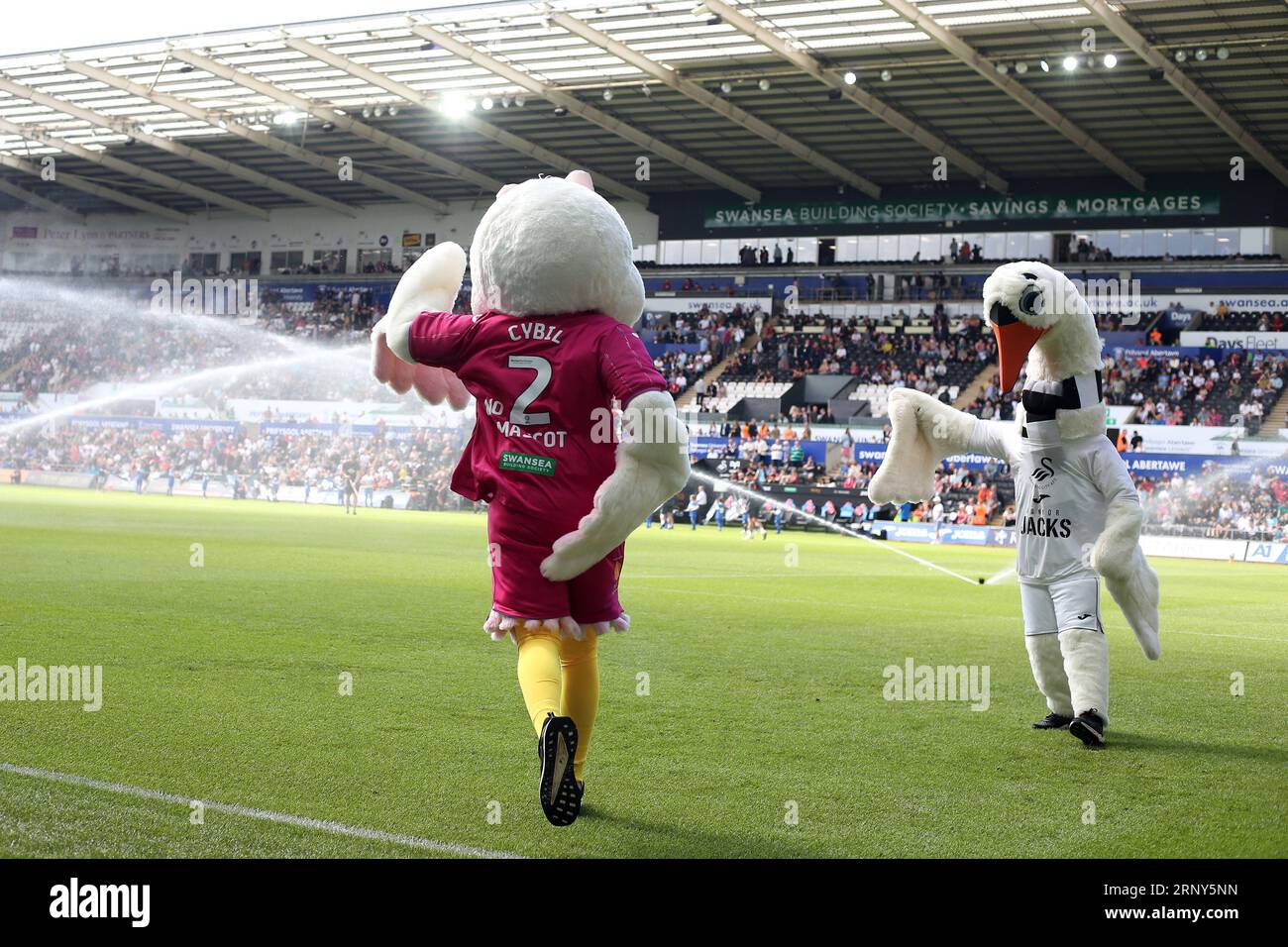 Football mascots uk hi-res stock photography and images - Alamy