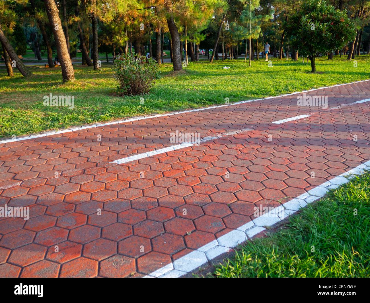 Bike lane concept. Healthy lifestyle. Urban space in a modern resort ...