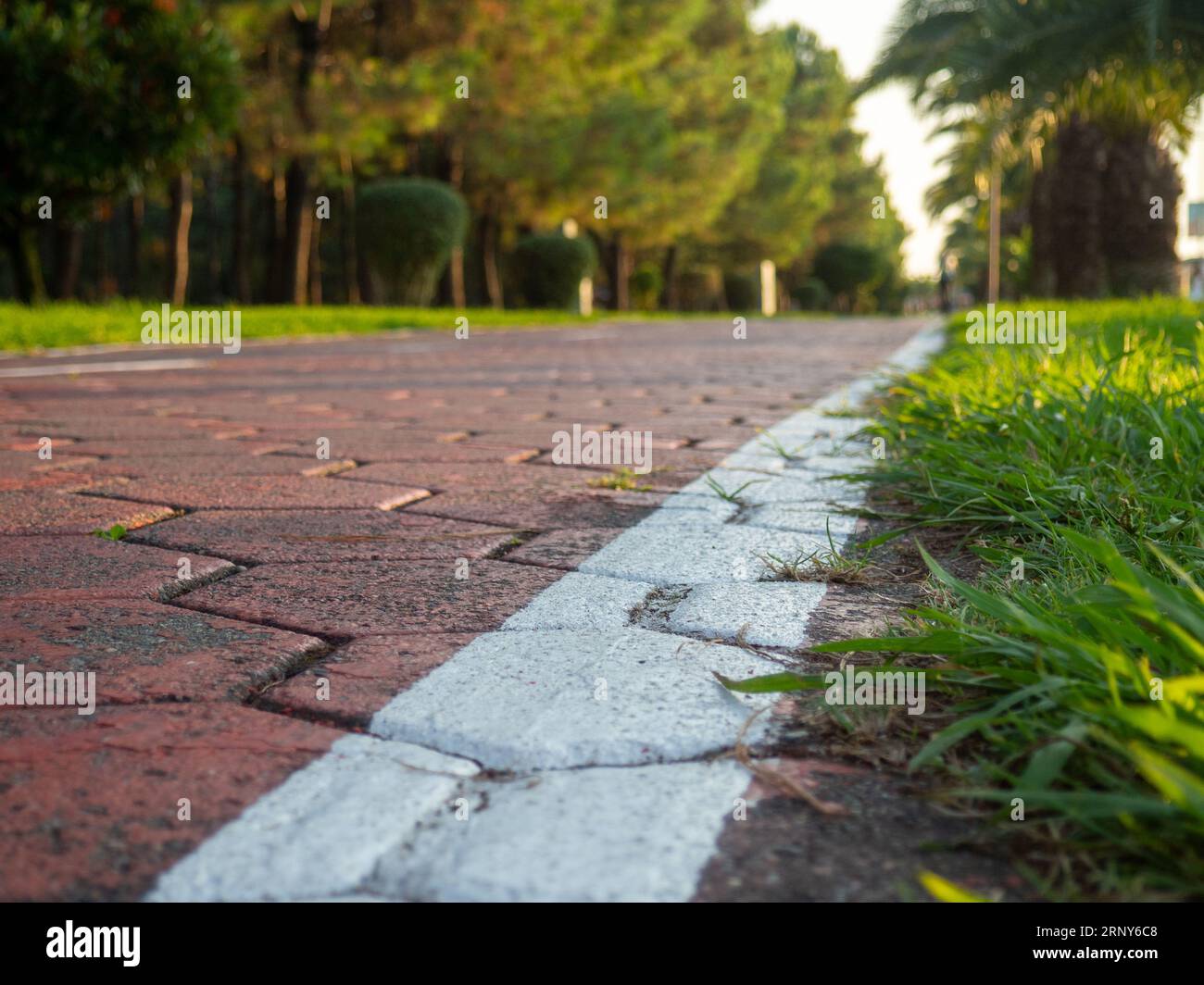 Bike lane concept. Healthy lifestyle. Urban space in a modern resort ...
