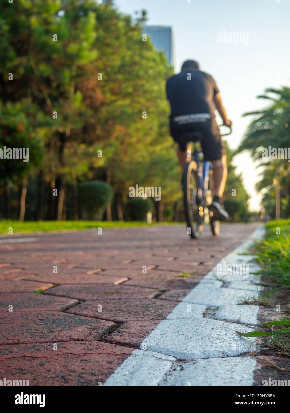 Bike lane concept. Healthy lifestyle. Urban space in a modern resort ...