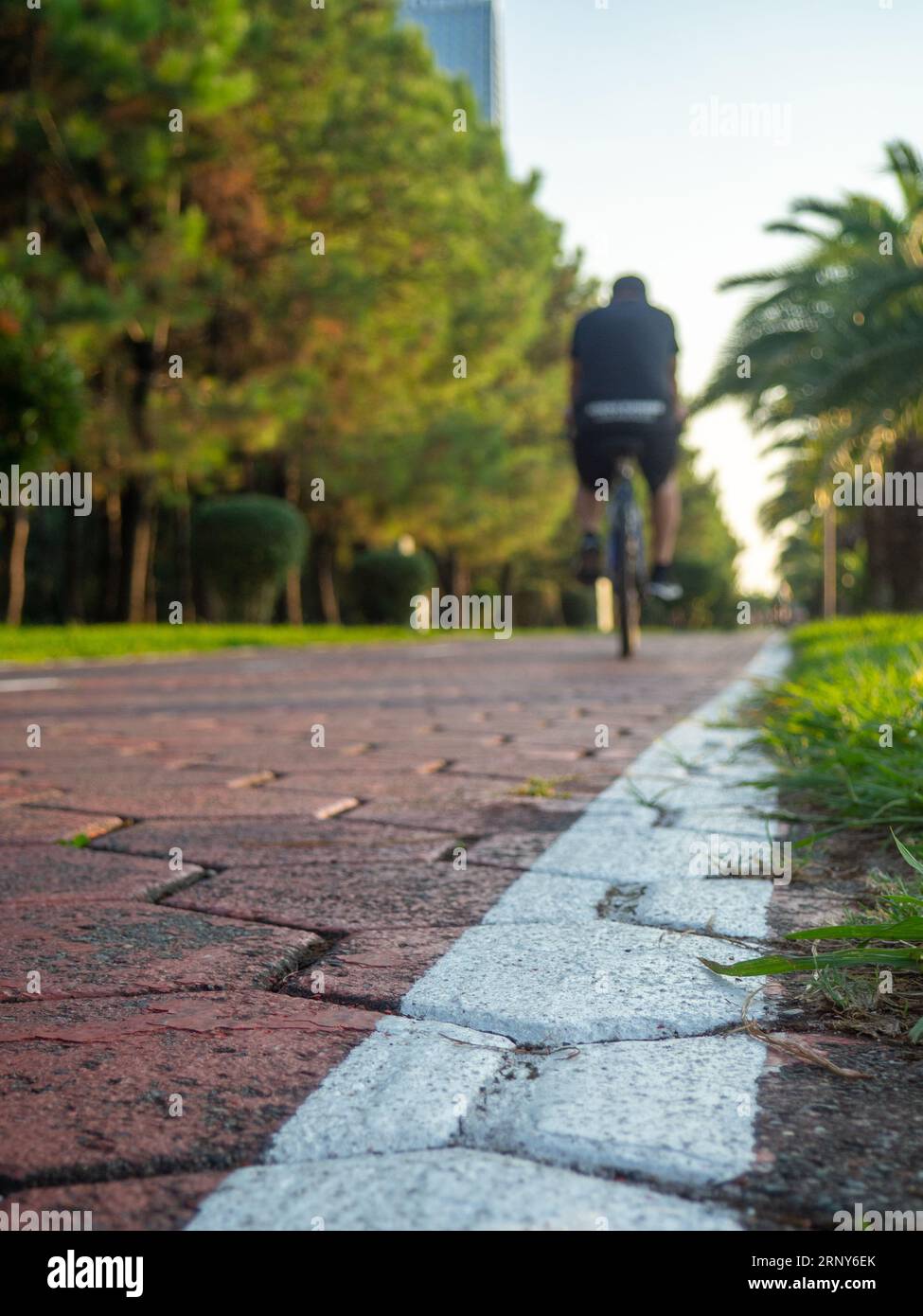 Bike lane concept. Healthy lifestyle. Urban space in a modern resort ...