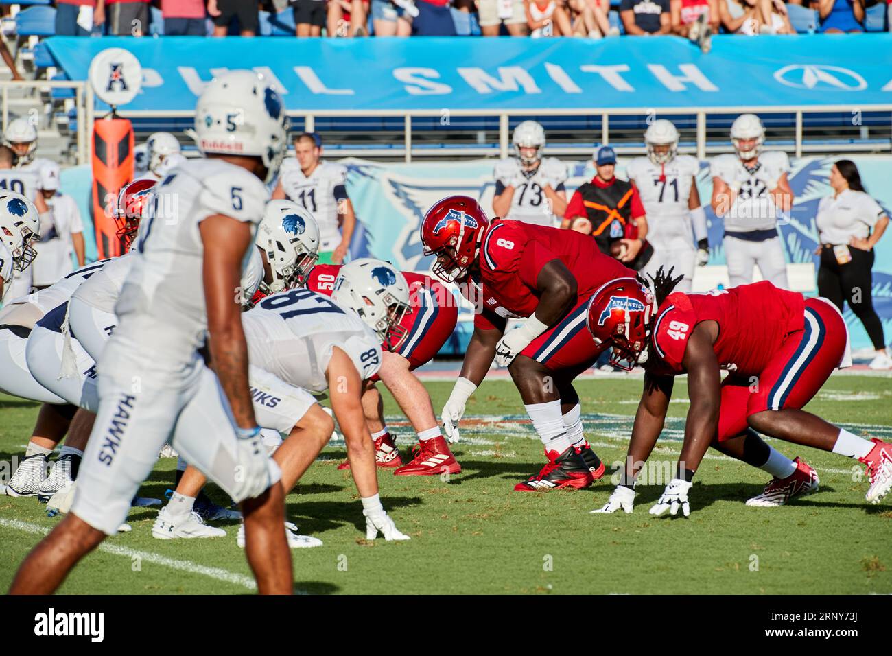 Florida atlantic cheerleaders hi-res stock photography and images - Alamy