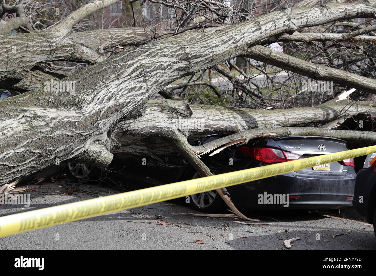 Knocked over blocks hi-res stock photography and images - Alamy