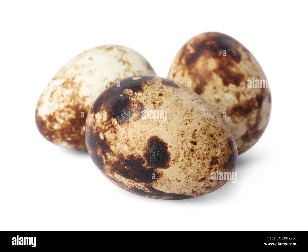 Beautiful speckled quail eggs hi-res stock photography and images - Alamy