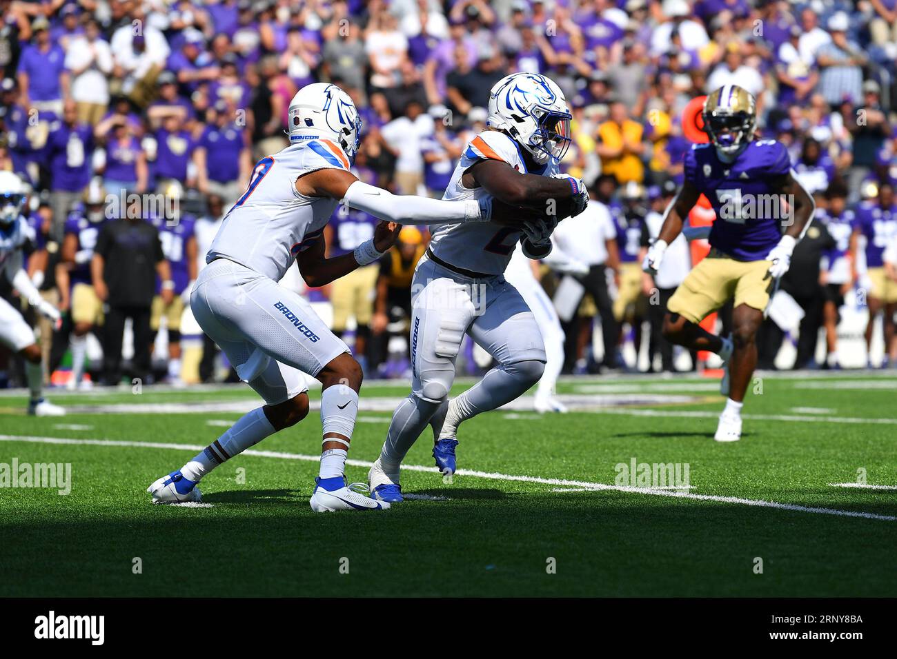Seattle, WA, USA. 02nd Sep, 2023. Boise State Broncos quarterback ...
