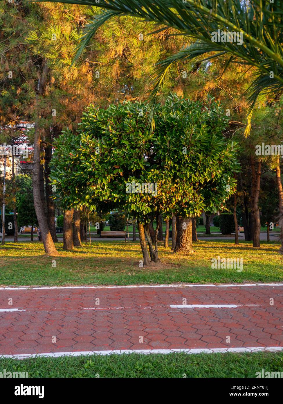Bike lane concept. Healthy lifestyle. Urban space in a modern resort ...