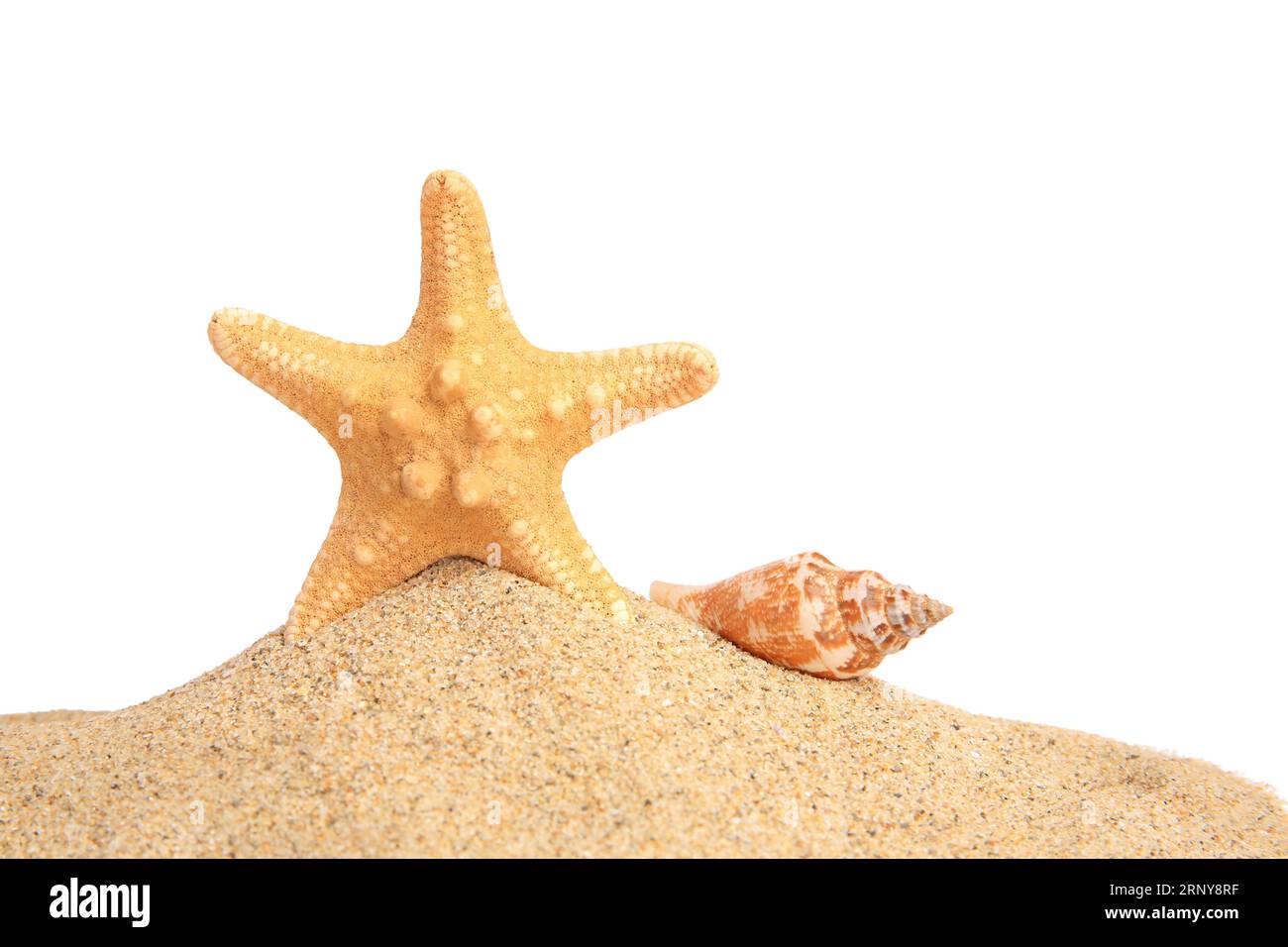 Sea star shell hi-res stock photography and images - Alamy