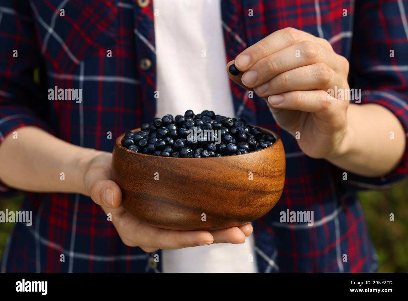 Woman putting berries bowl hi-res stock photography and images - Alamy