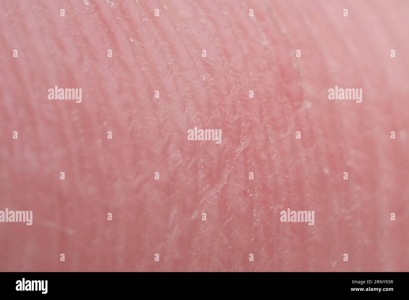 Skin friction ridges on finger as background, macro view Stock Photo ...