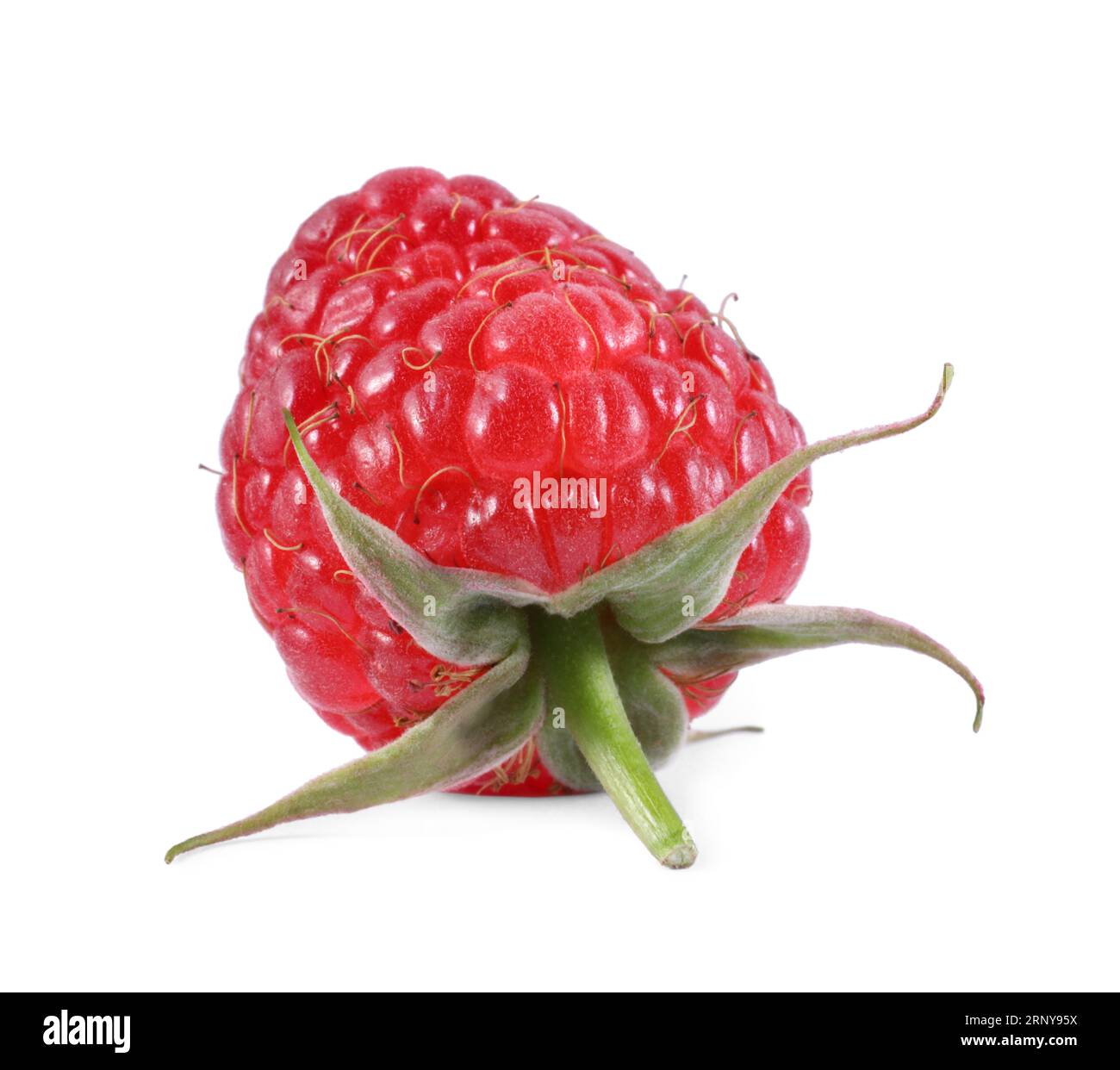 One tasty ripe raspberry isolated on white Stock Photo - Alamy