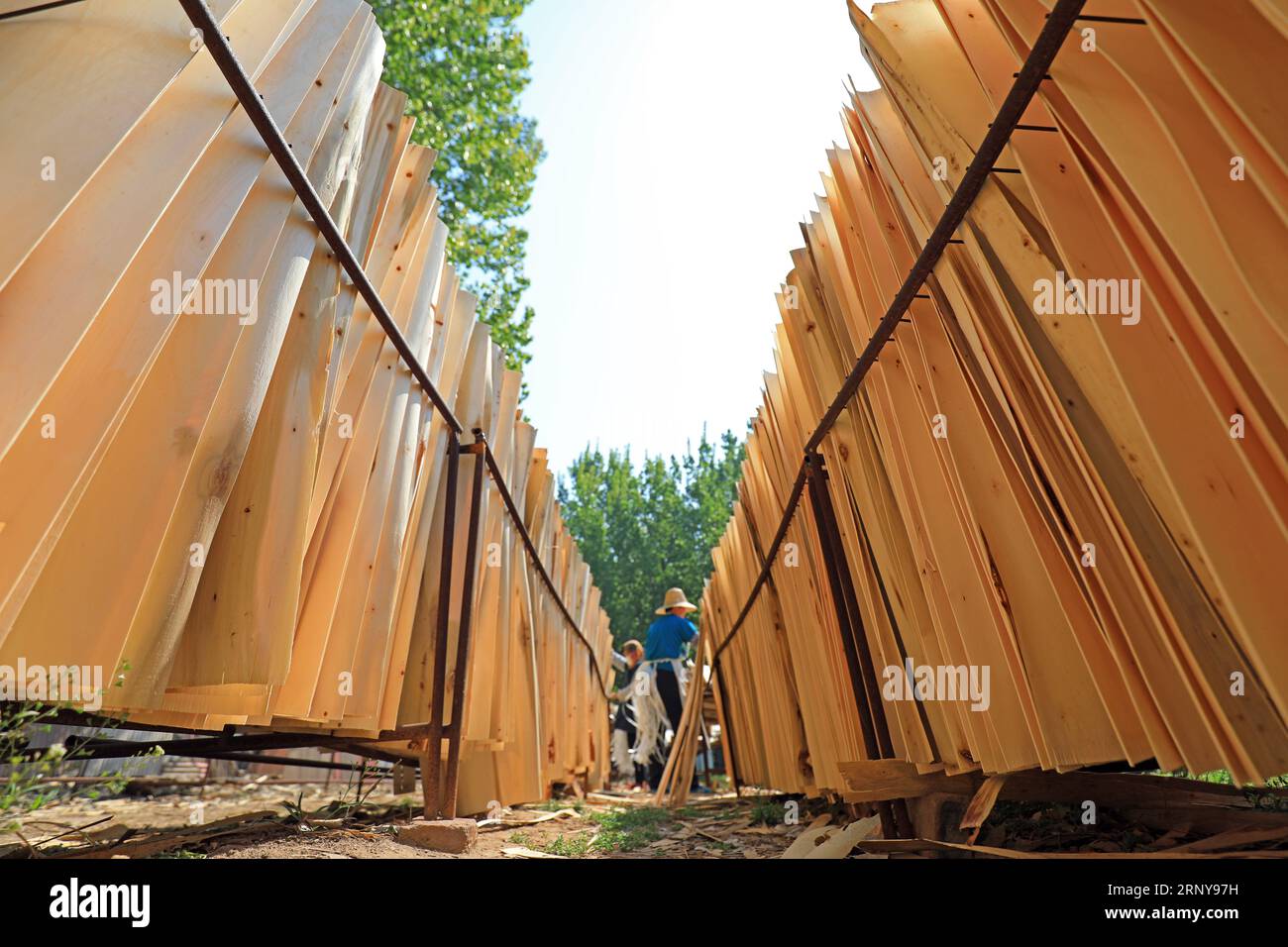 Wood processing plant hi-res stock photography and images - Alamy