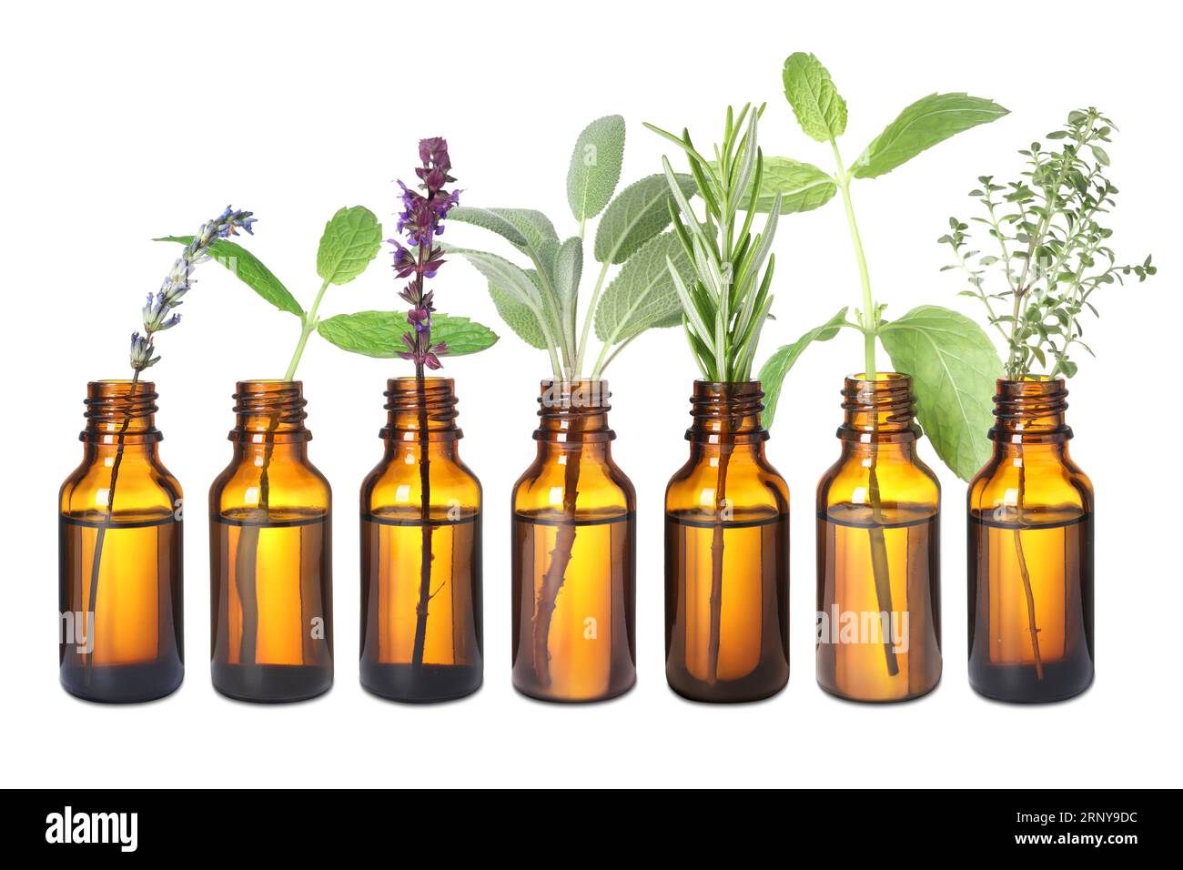 Set of different essential oils with herbs isolated on white Stock ...