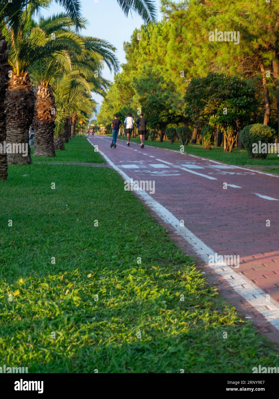 Bike lane concept. Healthy lifestyle. Urban space in a modern resort ...