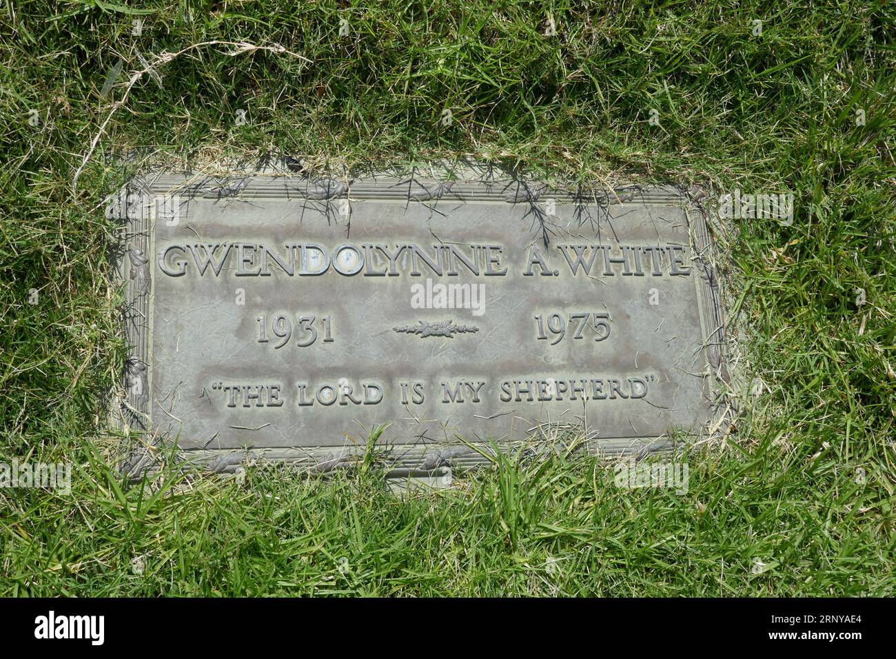 Gwendolynne white hi-res stock photography and images - Alamy