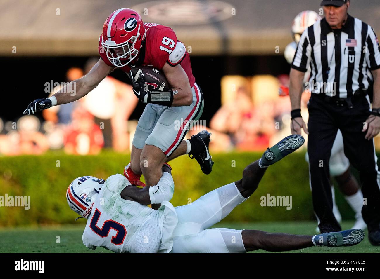 Georgia tight end Brock Bowers (19) is wrapped up by Tennessee-Martin ...