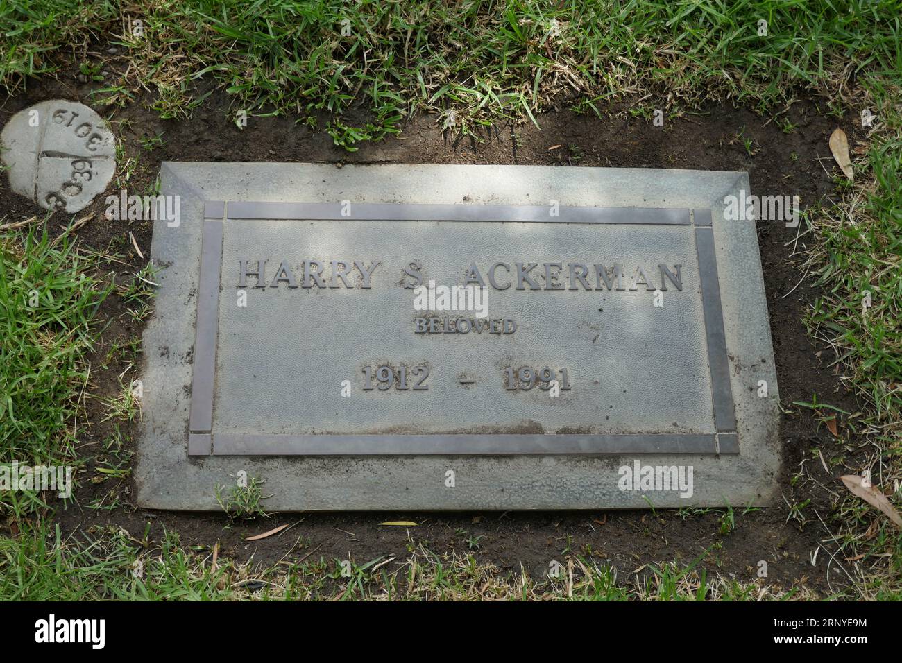 Los Angeles, California, USA 1st September 2023 Television Producer Harry Stephen Ackerman Grave ...