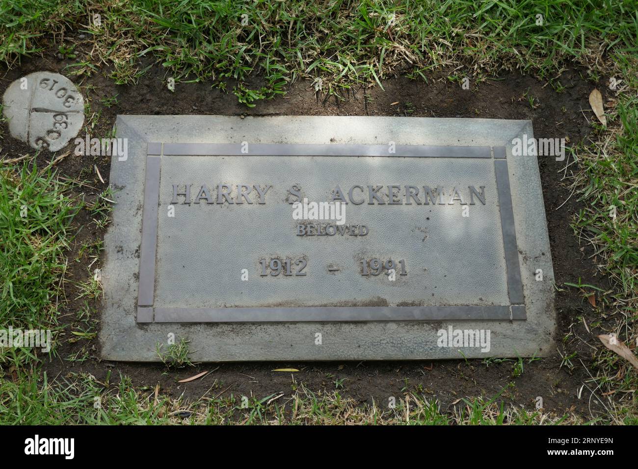 Los Angeles, California, USA 1st September 2023 Television Producer Harry Stephen Ackerman Grave ...