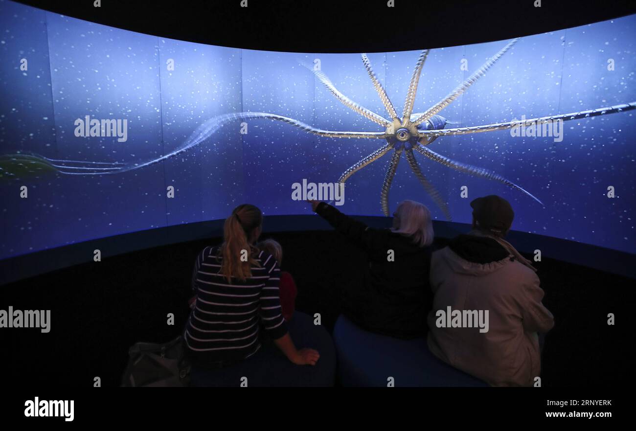 (180315) -- NEW YORK, March 15, 2018 -- Visitors watch film of ...