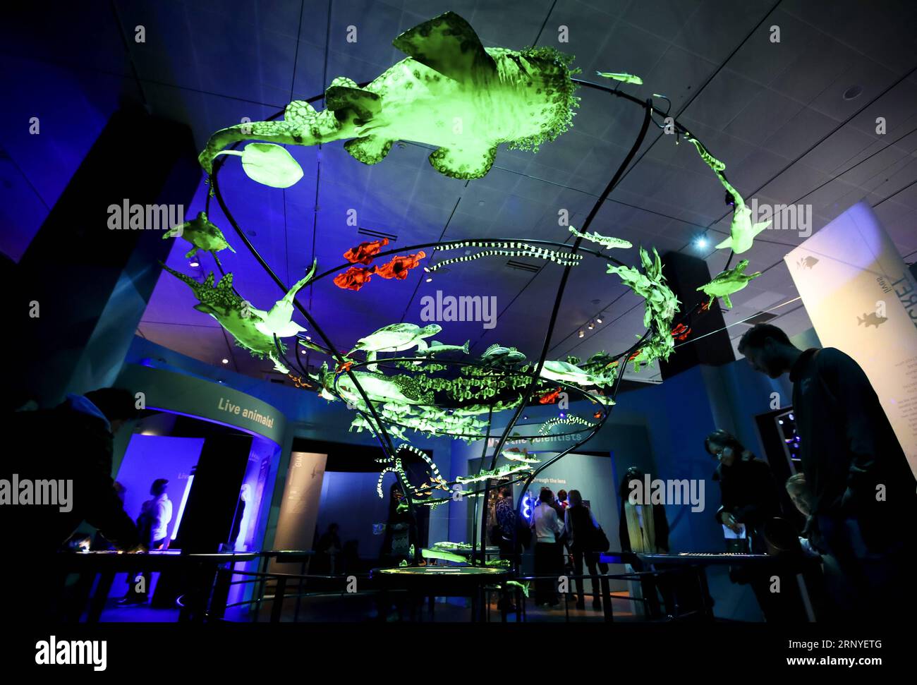 (180315) -- NEW YORK, March 15, 2018 -- Visitors look at models of ...