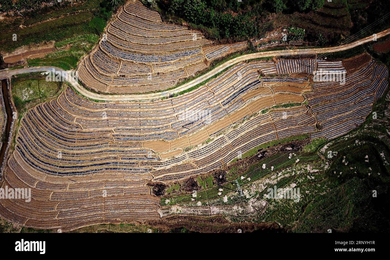 Nalong hi-res stock photography and images - Alamy