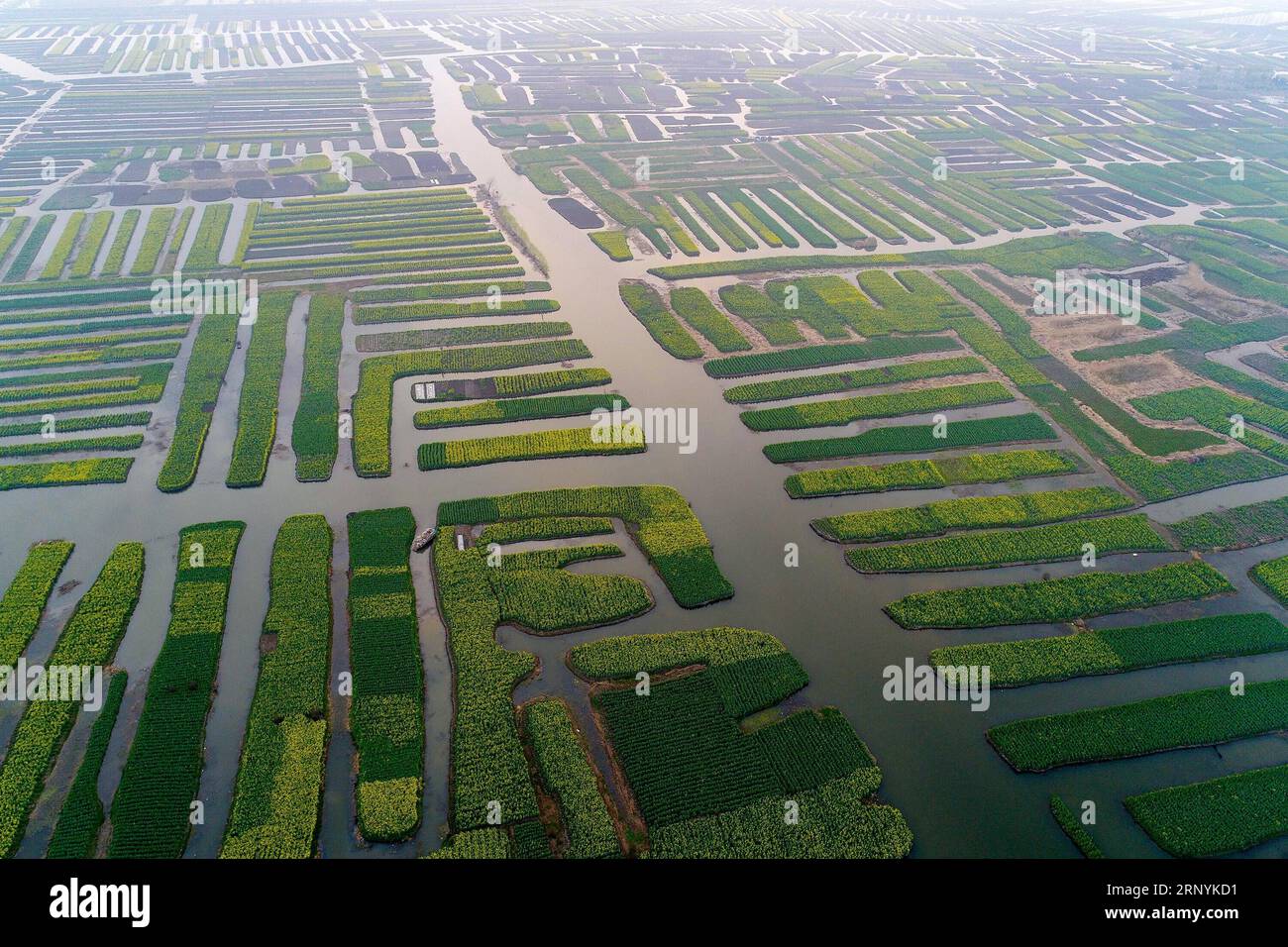 Xinghua city hi-res stock photography and images - Alamy