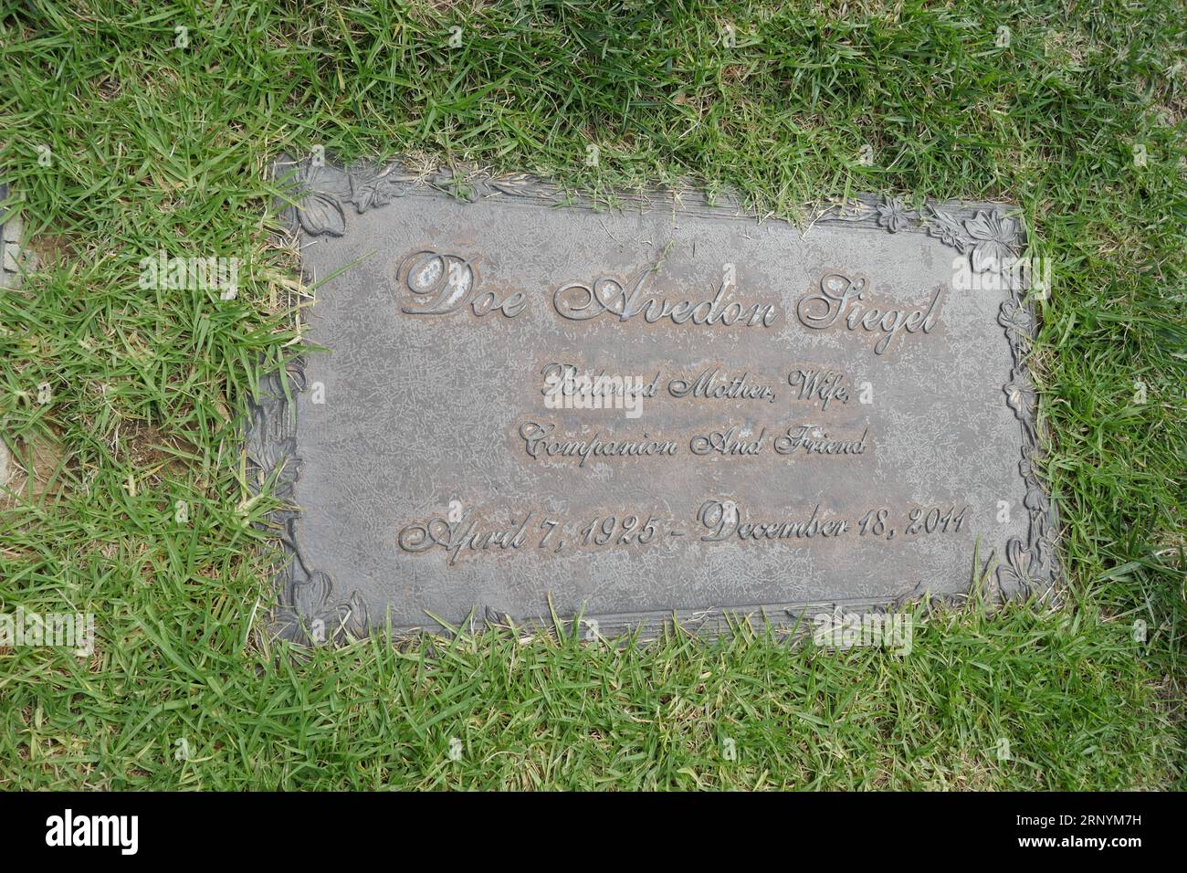 Doe avedon hi-res stock photography and images - Alamy