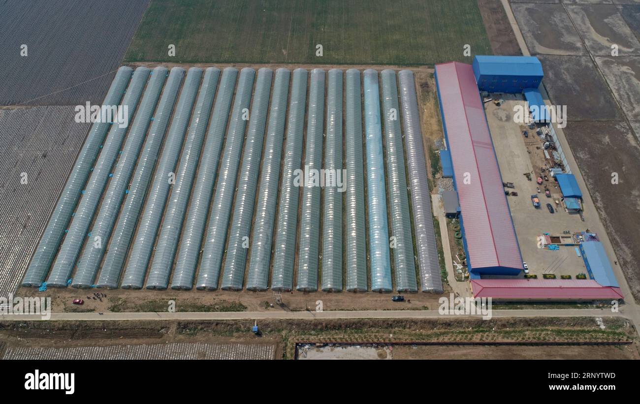 Vegetable greenhouses in rural areas, North China Stock Photo - Alamy