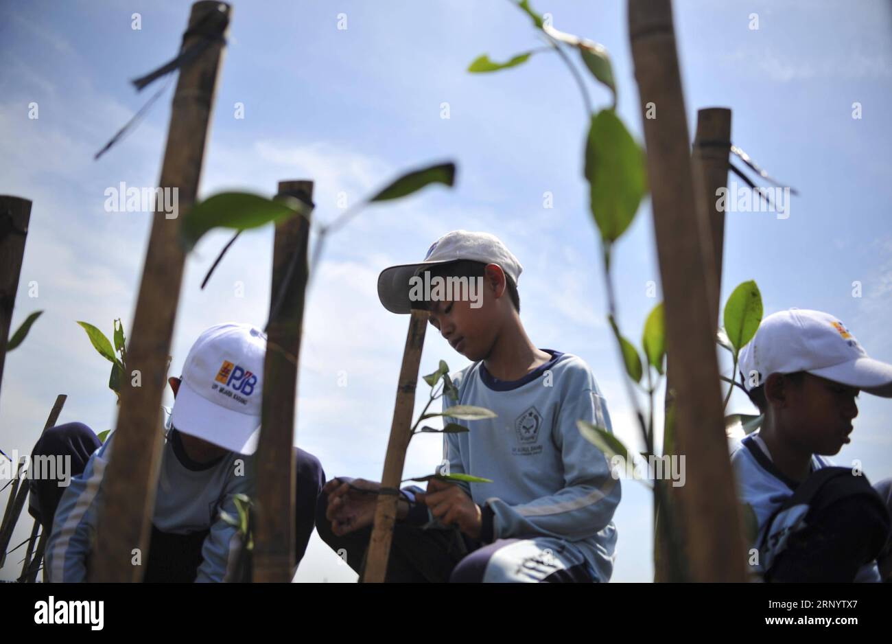 (180404) -- JAKARTA, April 4, 2018 -- School children plant Mangrove ...