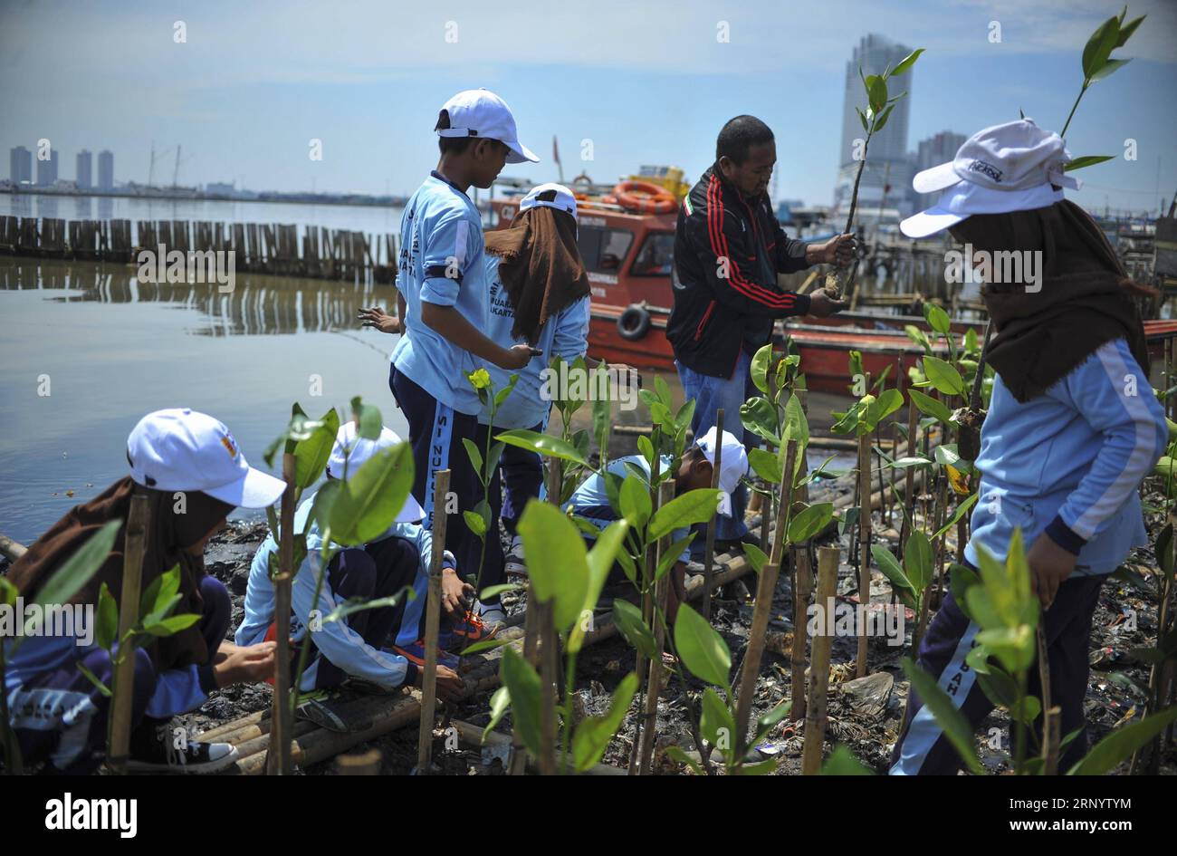 (180404) -- JAKARTA, April 4, 2018 -- School children plant Mangrove ...