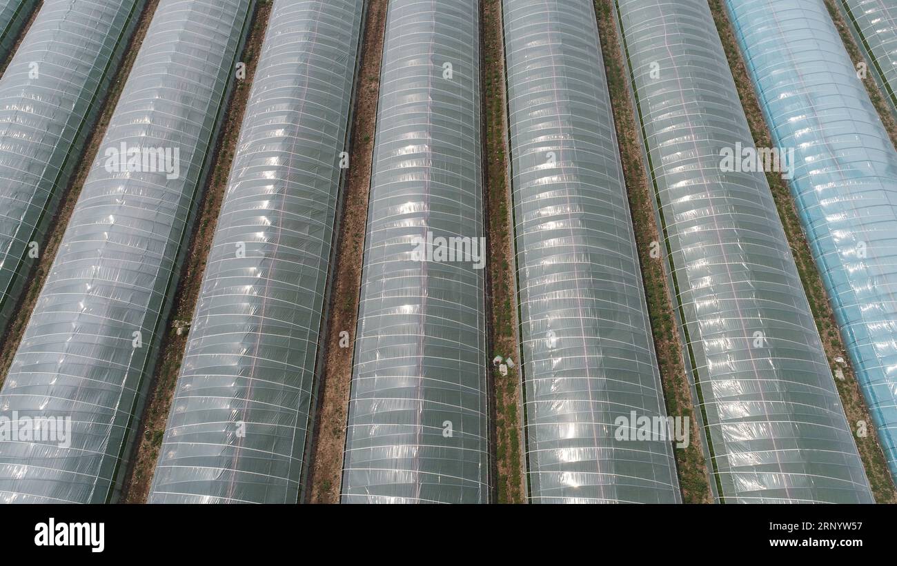 Vegetable greenhouses in rural areas, North China Stock Photo - Alamy