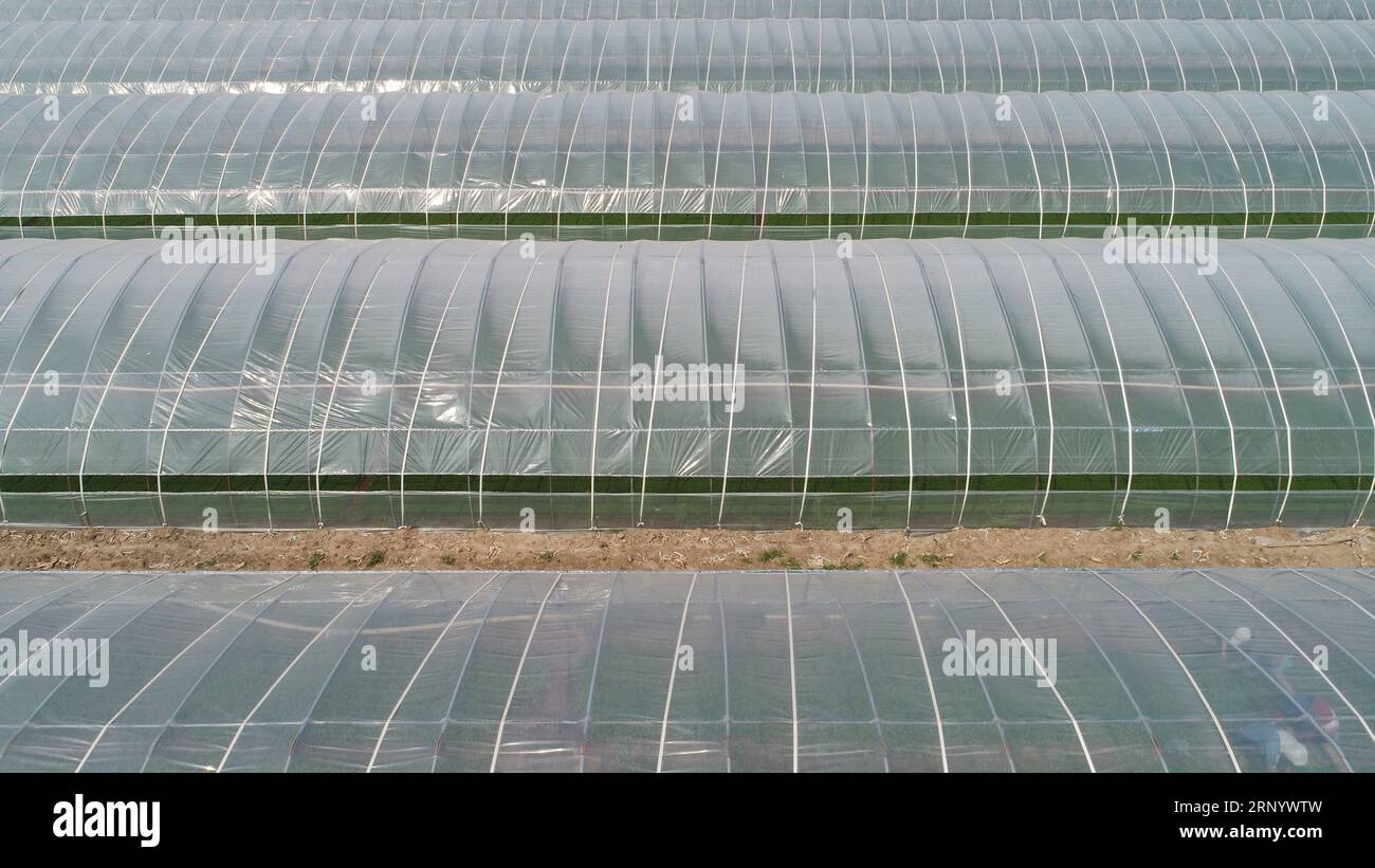 Vegetable greenhouses in rural areas, North China Stock Photo - Alamy