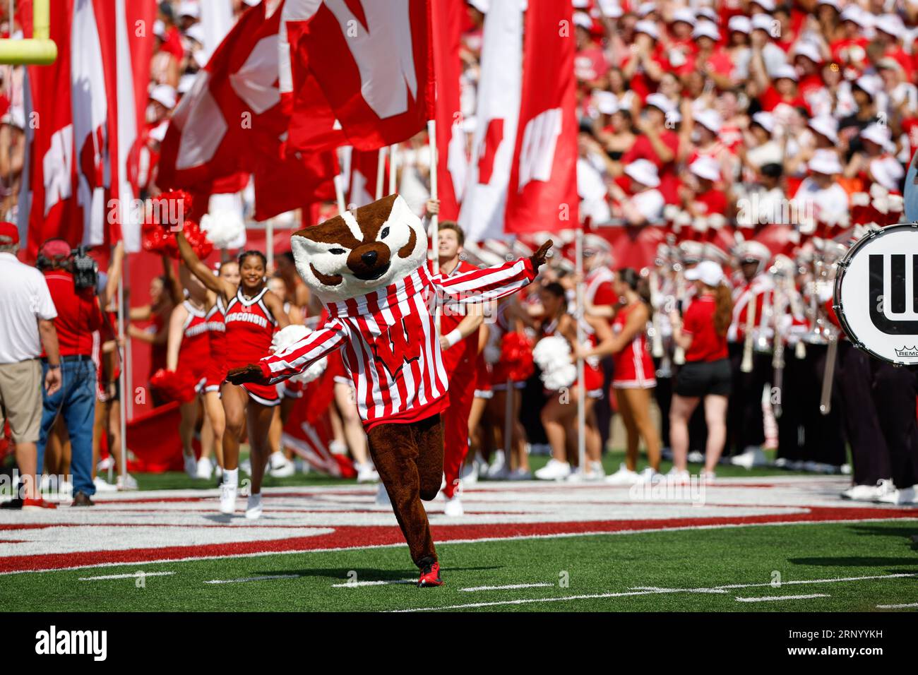 Madison, WI, USA. 2nd Sep, 2023. Wisconsin Badgers Mascot Bucky Badger ...