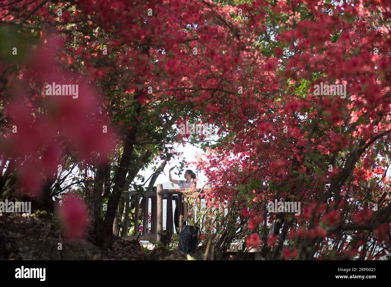 Hangzhou, april 10, 2018 hi-res stock photography and images - Alamy