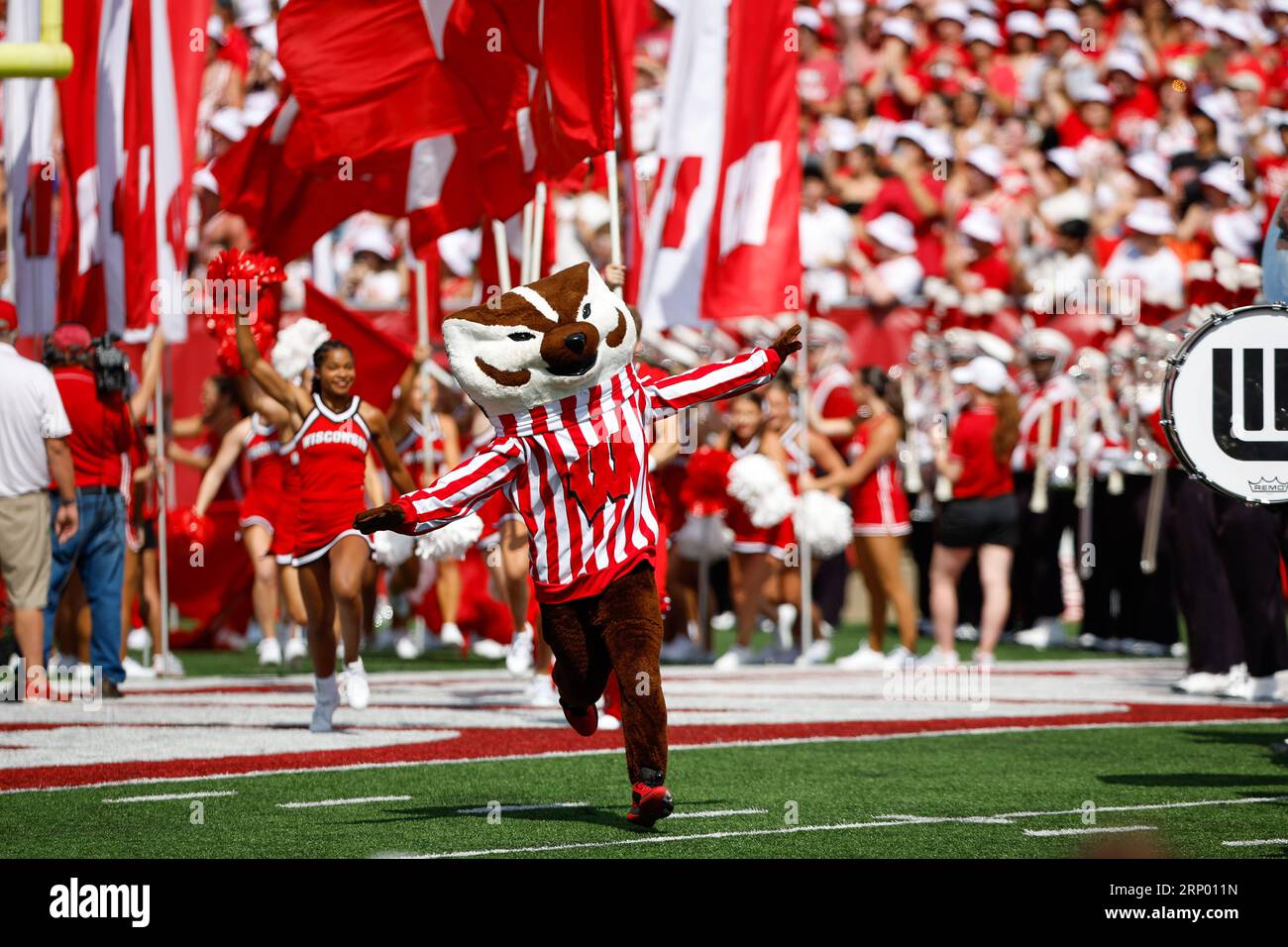 Madison, WI, USA. 2nd Sep, 2023. Wisconsin Badgers Mascot Bucky Badger ...