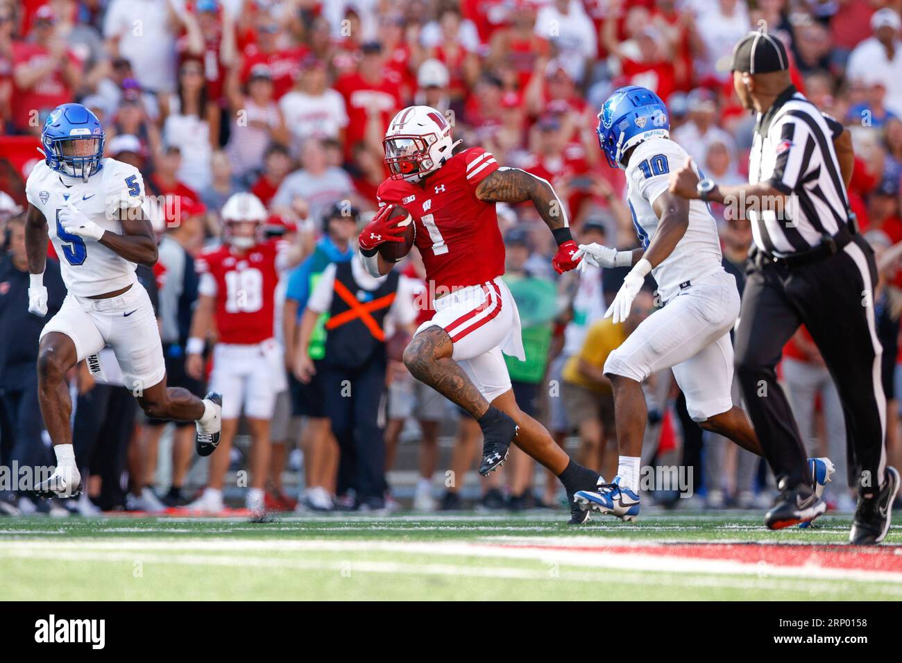 September 2, 2023: Wisconsin Badgers running back Chez Mellusi (1 ...