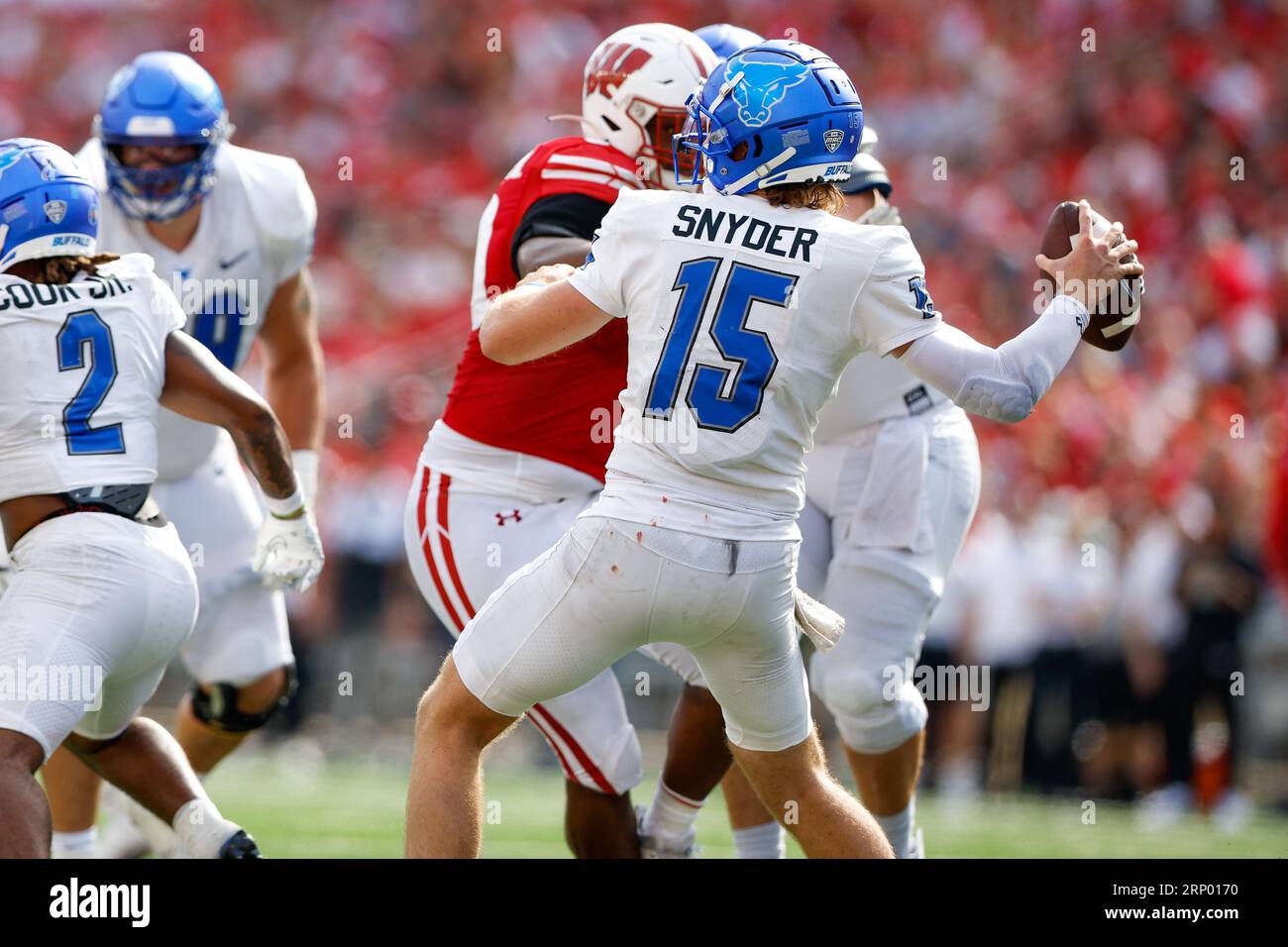 Madison, WI, USA. 2nd Sep, 2023. Buffalo Bulls quarterback Cole Snyder ...